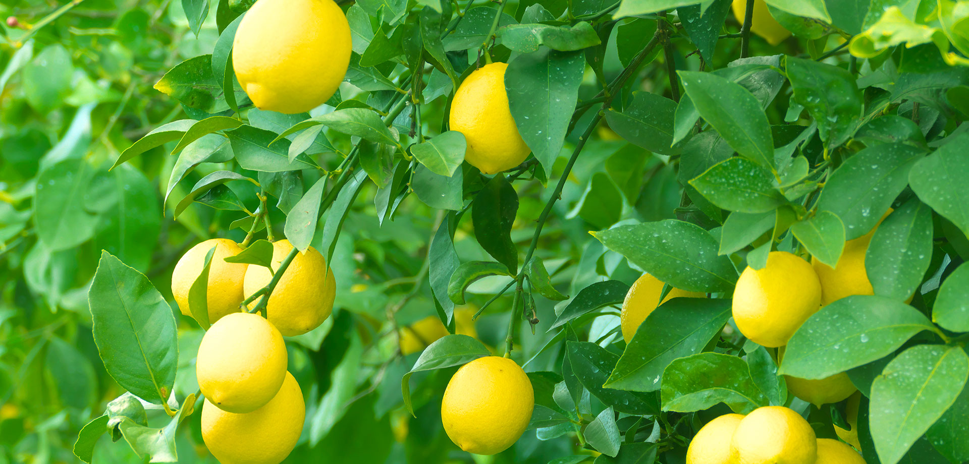 BONAPOOL | 多様な人々が集う「みんなの家」ボナプール