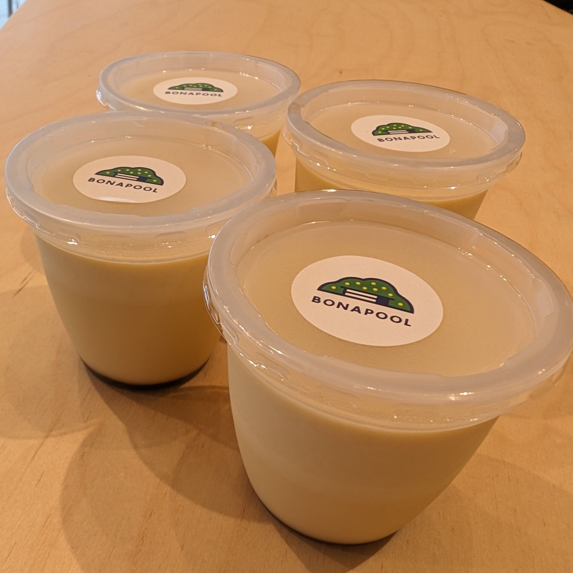 ニュース一覧 | BONAPOOL｜ボナプール楽生苑